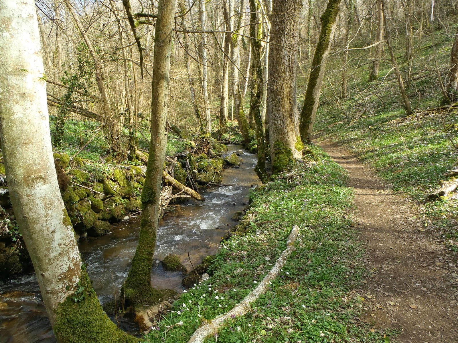 rando sac au dos - par Bleausard 77: Auvergne : Chatel Guyon les Gorges ...