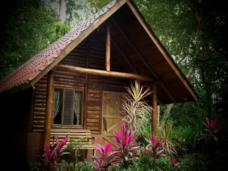 Jungle and Rainforest Art of Costa Rica: Rustic Retirement Cabin for 12K