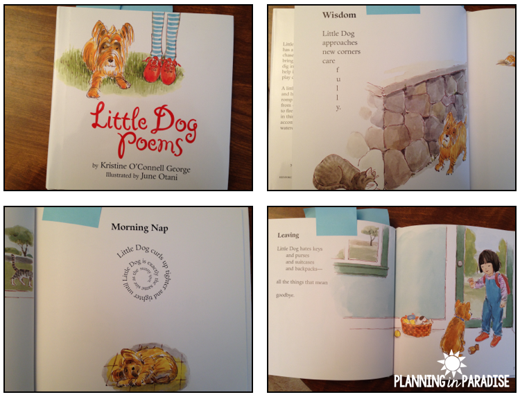 Planning In Paradise: PiNt-SiZeD pOeMs