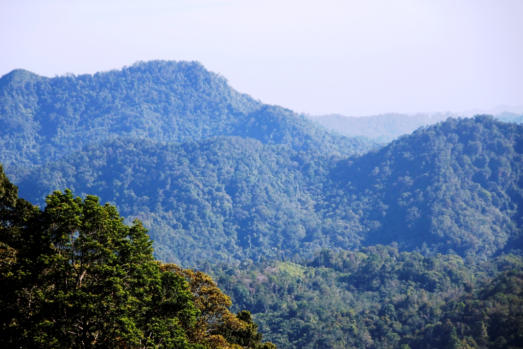 Pesona Wisata Kabupaten Kampar | RIAU DAILY PHOTO