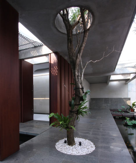 The elegant natural beauty of trees built into living s