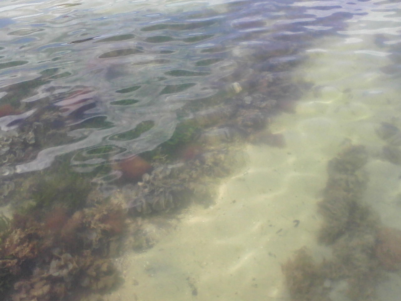 Desperta!!! Pra Terra viver.: O mar de Paramana