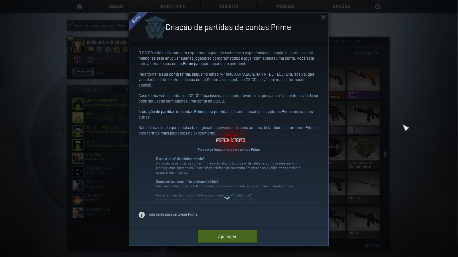 CS GO PRIME