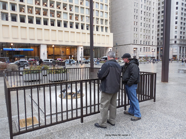 Illinois Worldwide Lyme Disease Awareness Protest: Daley Center Pictures