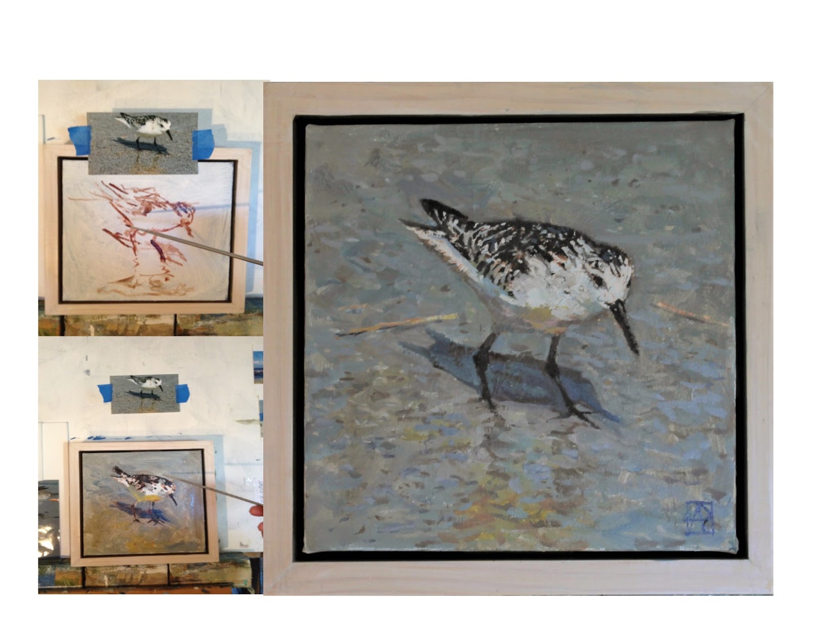 THE PHILLIPS STUDIO: Summer Sanderling
