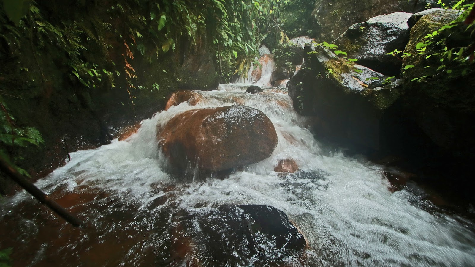 Ciasmara-Sekeping Surga yang Terlupakan I: Curug Saderi dan Curug Cimanglid