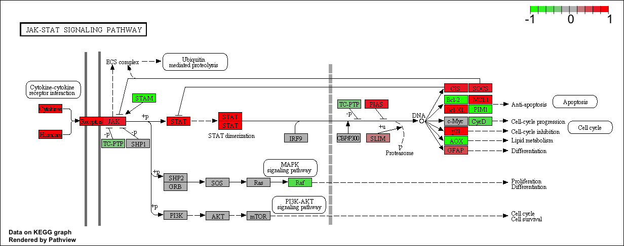 Getting Genetics Done Tutorial Rna Seq Differential Expression And Pathway Analysis With 3627