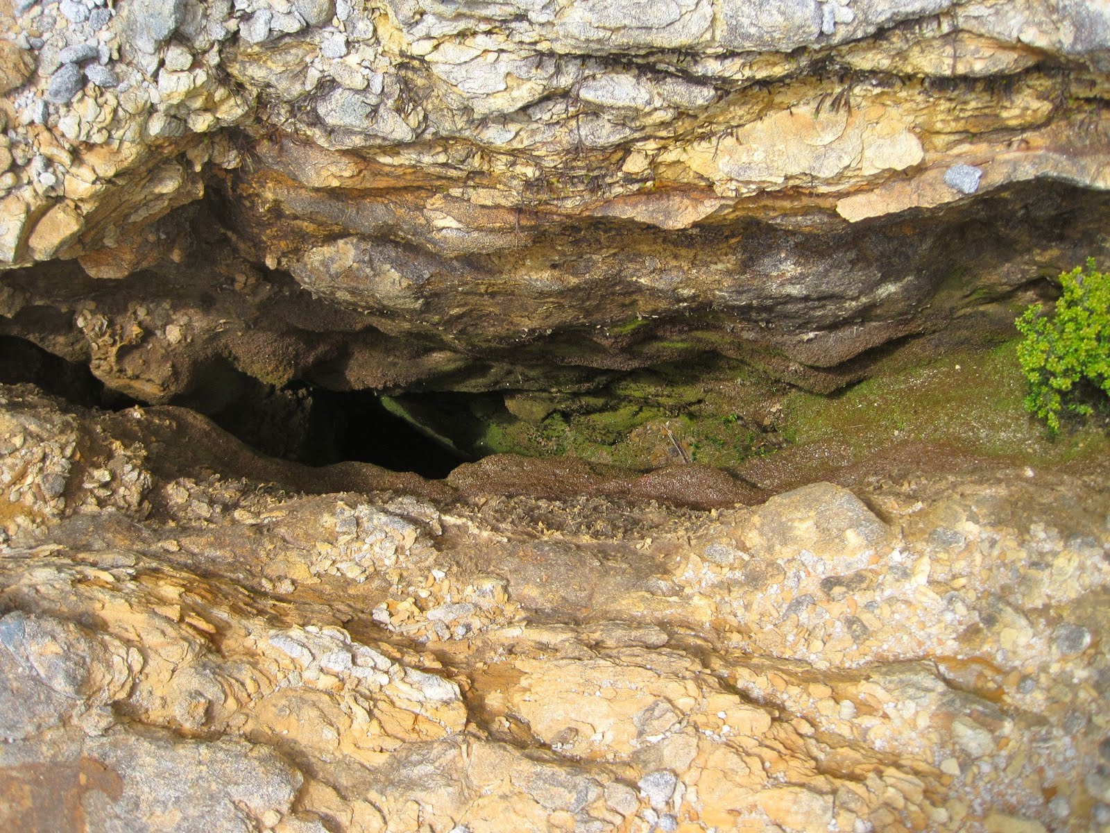 Carolyn in Aotearoa: The Mines of Millerton (Yes, Millerton, not Moria)