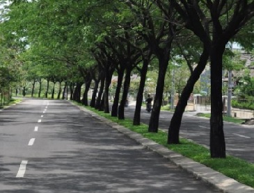 Lebih Baik Menggunakan Jalan Paving, Aspal, Atau Beton? - Rumah Material