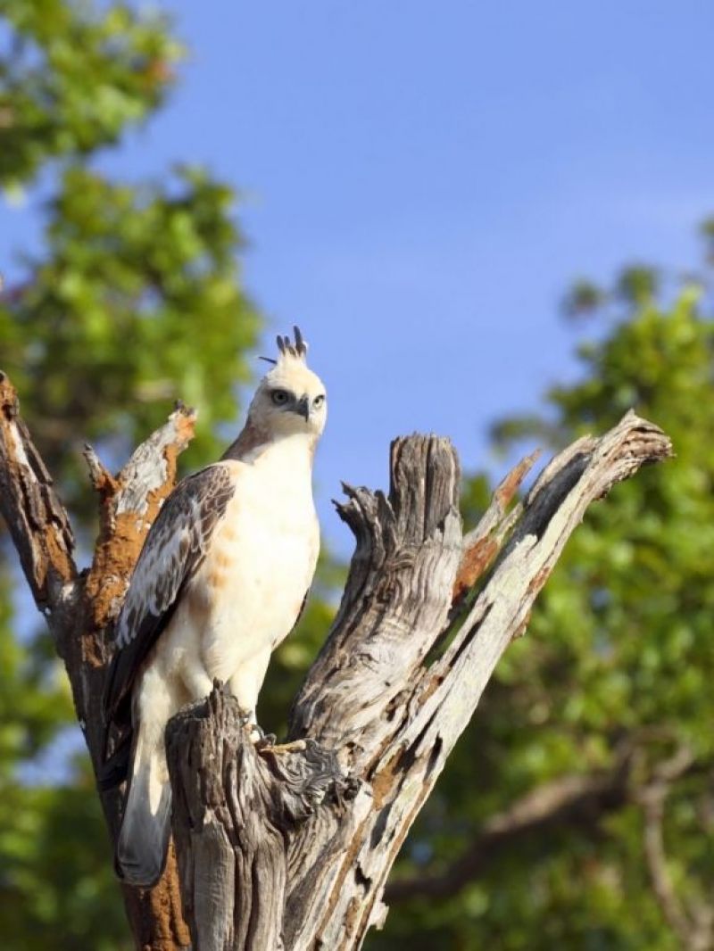 Travel Sites: Uda Walawe National Park in Sri Lanka