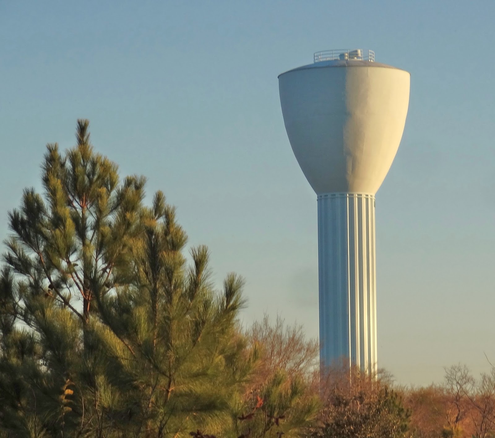 H-Town-West Photo Blog: Winter Landscape with Water Tower in West Houston