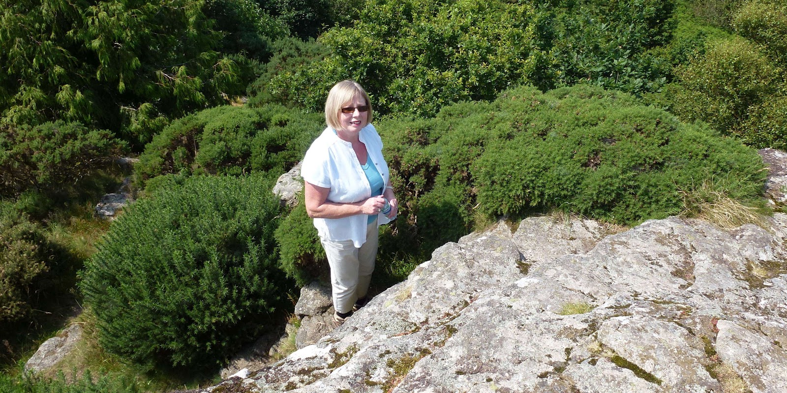 My Dartmoor Walks: Thursday 26th July Manaton Rocks