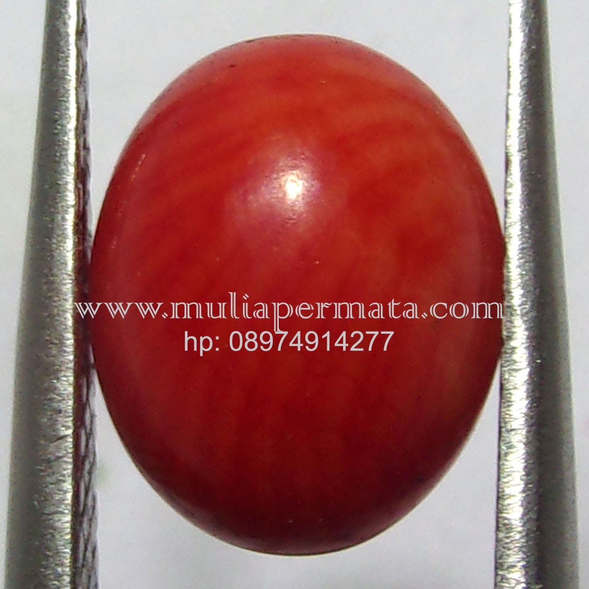 SEGALA HAL MENGENAI BATU MULIA: Batu Marjan, Red Coral 339