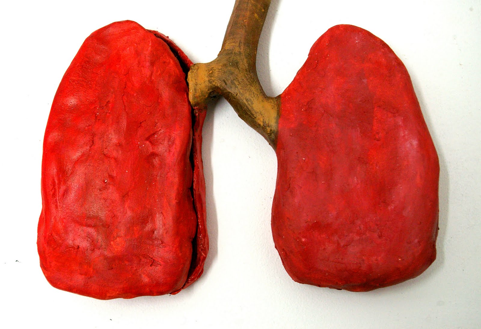 Plum Tree Illustration: Clay Organs