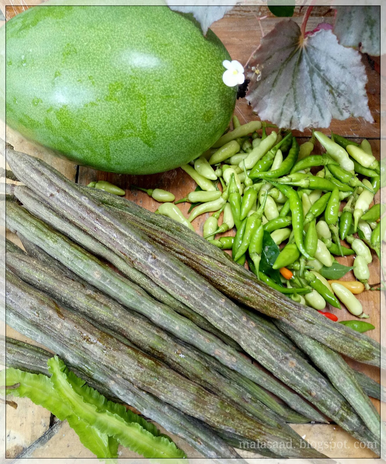 My Green Eye's: Remunggai, Kundur, Timun, Peria, Cilipadi Kampung & Terung