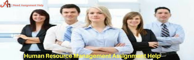 How can You Get A+ in Human Resource Management Assignments?