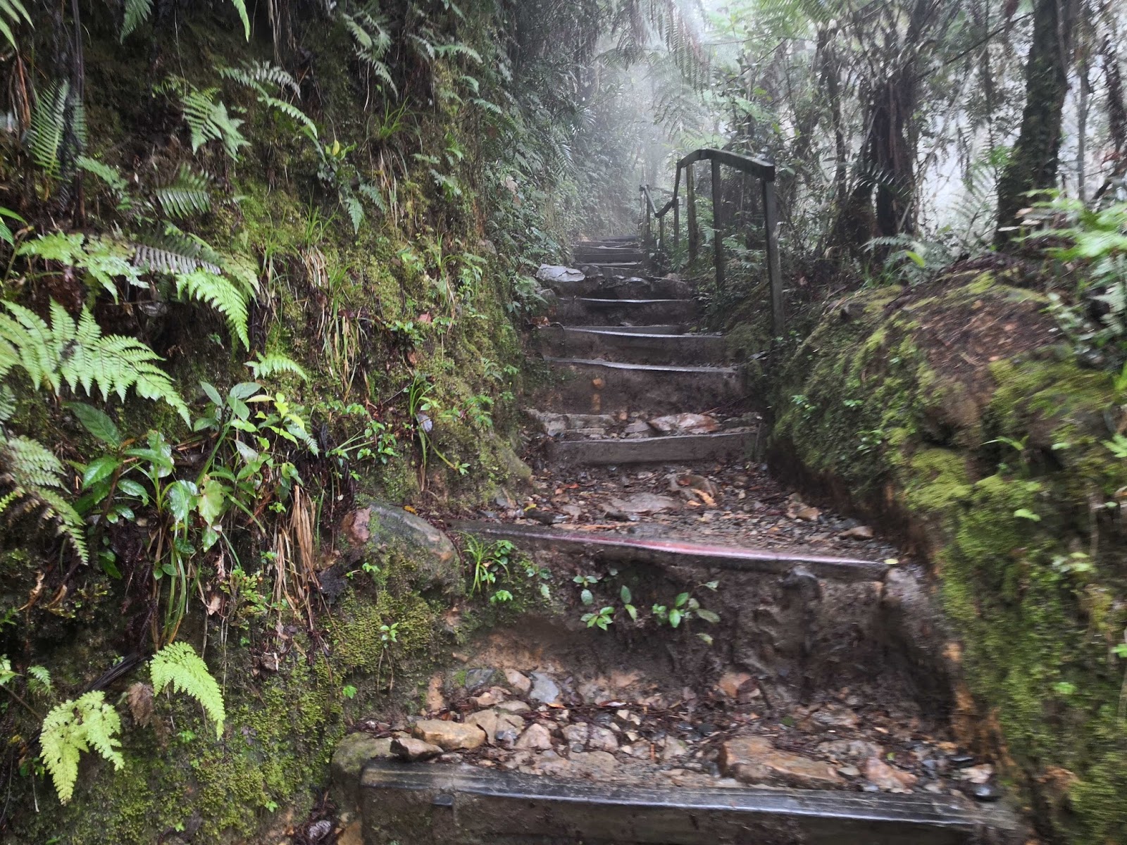 Pengalaman Lengkap Mendaki Gunung Kinabalu Mac 2018 | Maria Firdaus