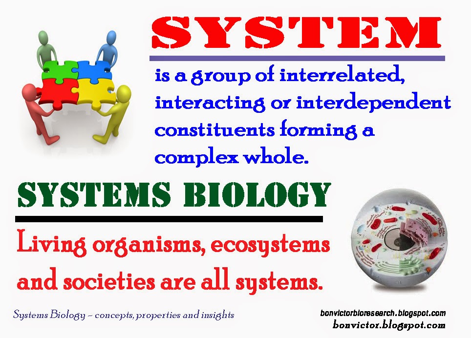 bonvictor bioresearch: Systems Biology - concepts, properties and insights