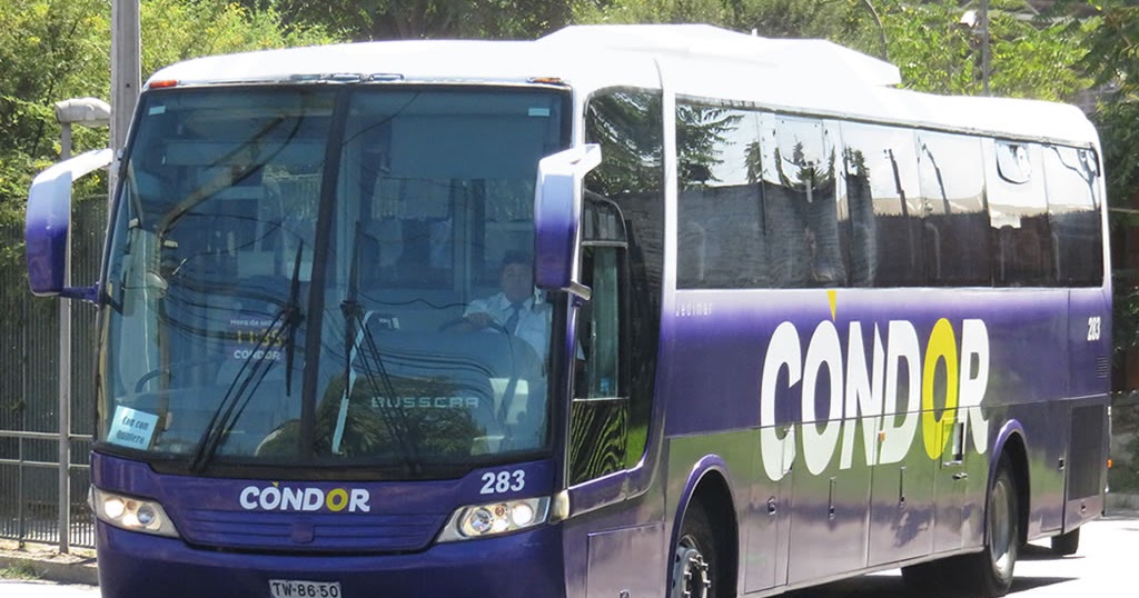 Buses en Chile | Juan Guillermo Pacheco S.: Condor Bus | N° 283.-