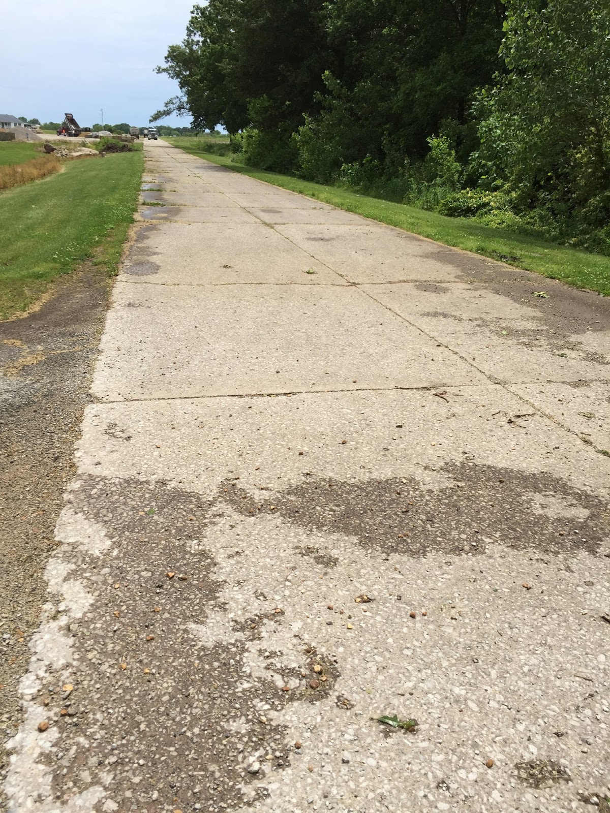 Journeys Home: Old Paved Roads