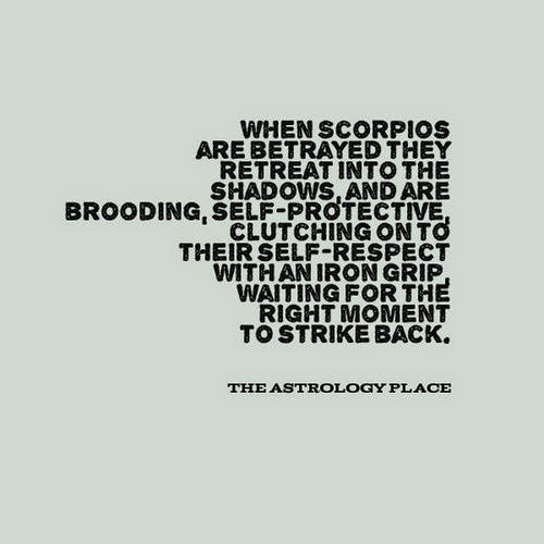 Scorpio Picture Quotes – The Astrology Place