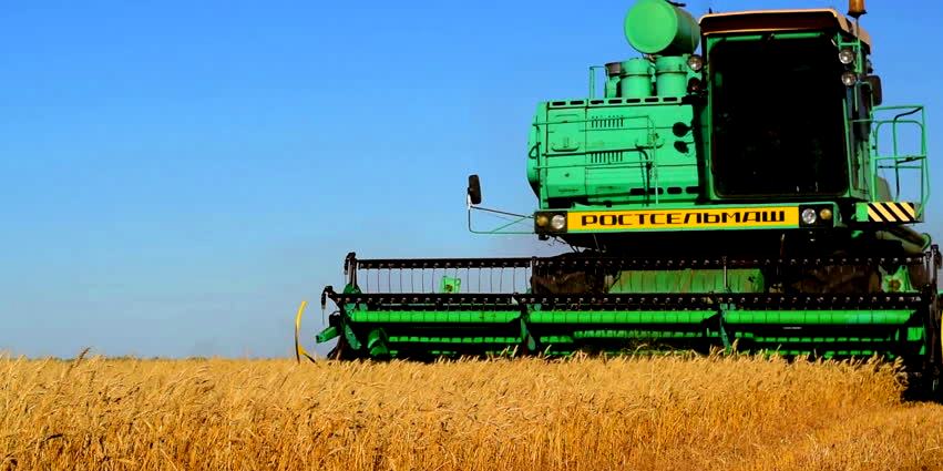 Technological Future of the Agriculture and Food Sector in Russia
