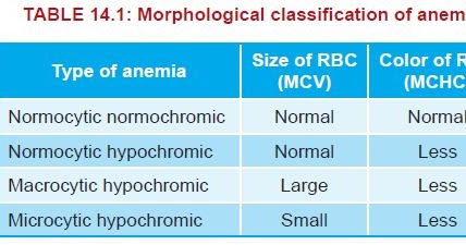 Anemia : Introduction | Classification Of Anemia - Physiology Notes