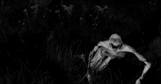 Phantoms and Monsters - Real Cryptid Encounter Reports - Fortean ...