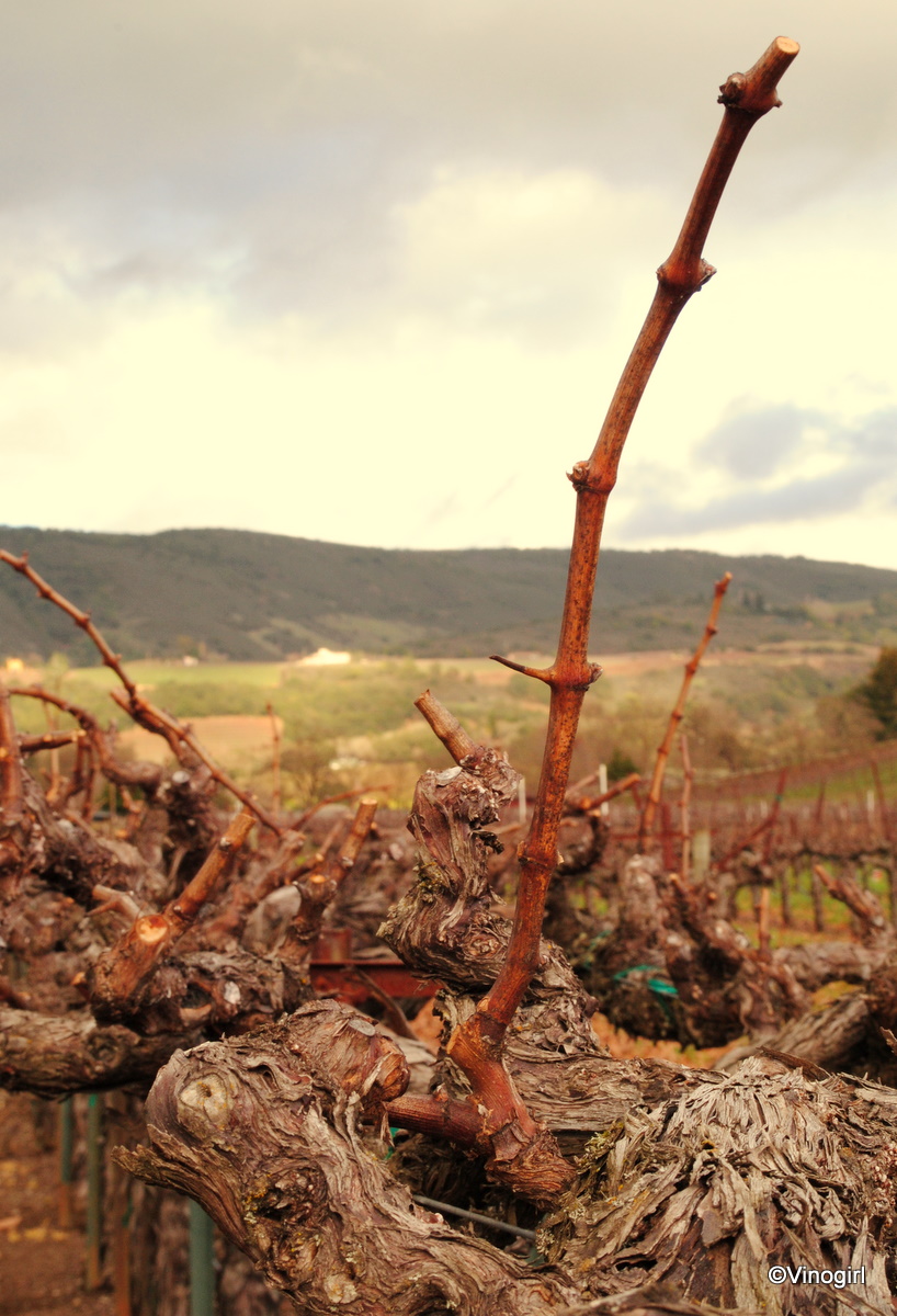 Vinsanity: Kicker canes.