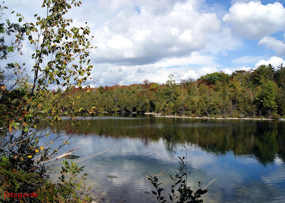 Dew On The Newts: Crawford Lake Conservation Area