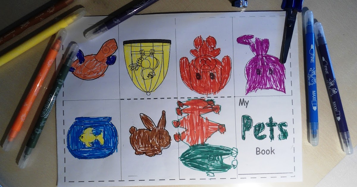 A+ Excellent : My pets booklet (for the 1st graders)