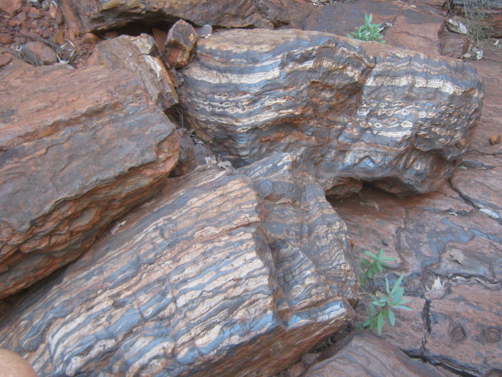 The Grey Roamer - Voyages around Australia: Goldfields and Pilbara