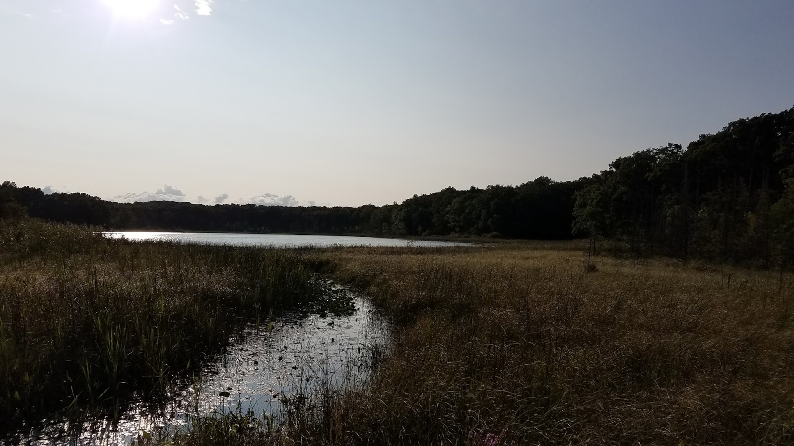 Wilderness Wanderings: Pinckney Blind Lake Backpacking Aug '17