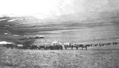 MR. HALL'S AMERICAN HISTORY CLASS: Bozeman Trail