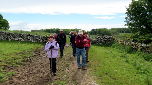 The Glebe Blog: Wigtownshire Ramblers Glasserton June 2013