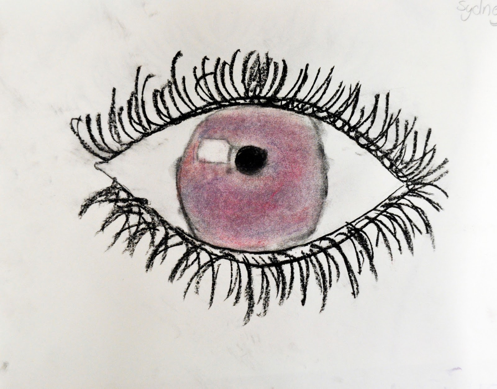 artisan des arts: Eye study - grade 5/6