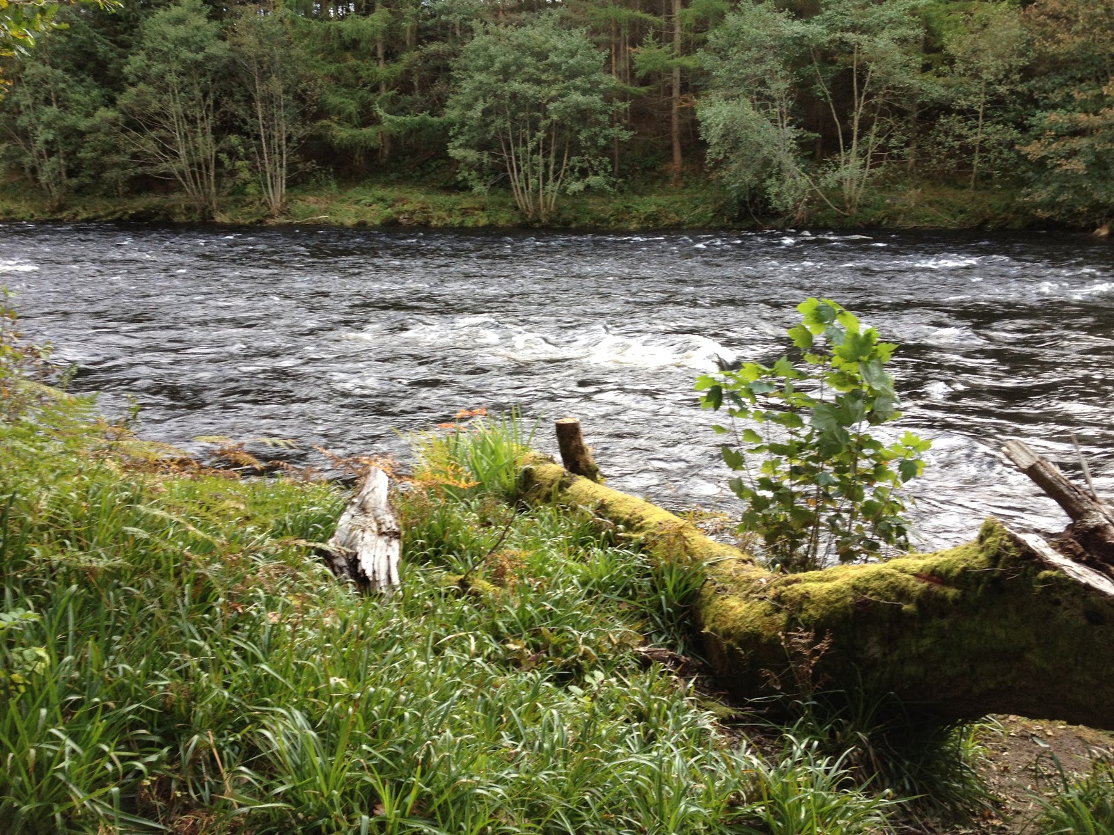 A ghrá : MAGRUDER COUNTRY: SCOTLAND'S PERTHSHIRE