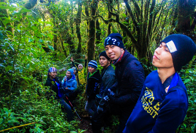 Mt Timbak and Mt Tabayoc of Benguet ~ Geejay Travel Log