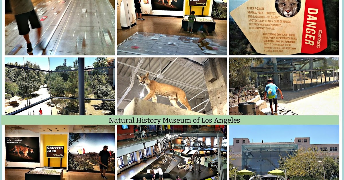 Field Trip Mom : Family Field Trip to Natural History Museum of Los Angeles