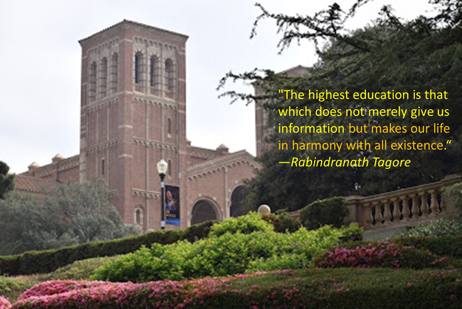 Travel for a Purpose: UCLA Campus around Election Walk Area