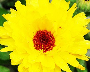 EDU 642 - Jennifer Leik