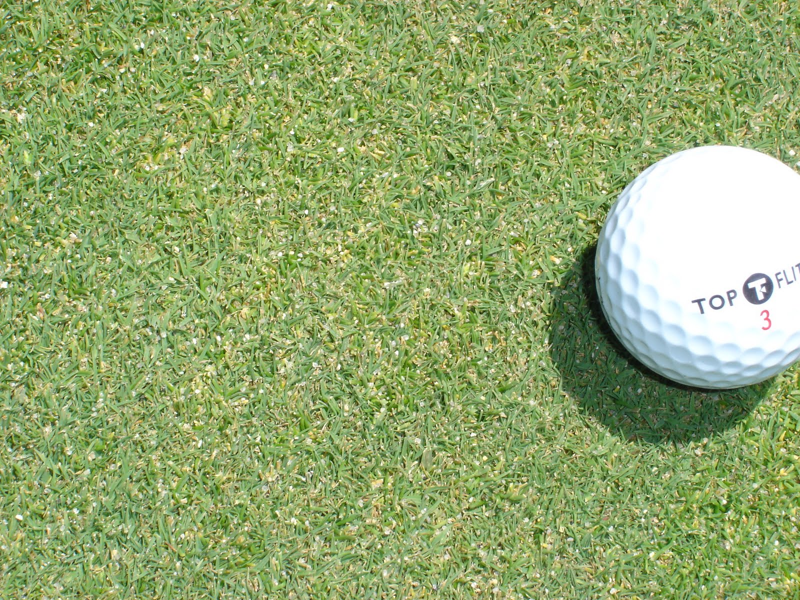 Stockton Golf & CC Turf Page: Turf Update