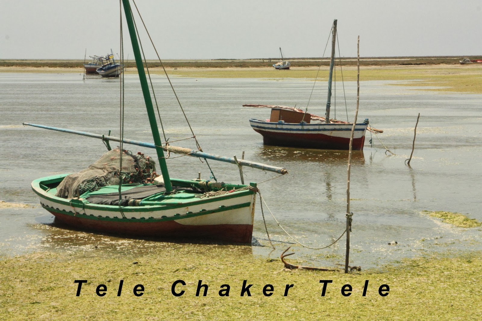 TV HDV - Chaker Ben Ahmed : Blog Officiel
