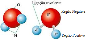 Água a molécula importante para vida