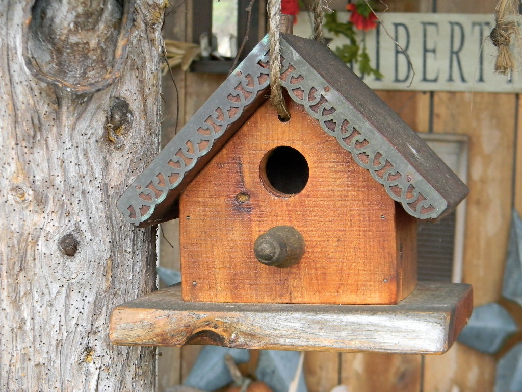 Notforgotten Farm : Sunday Morning Picture Walk ~ and other Good Things