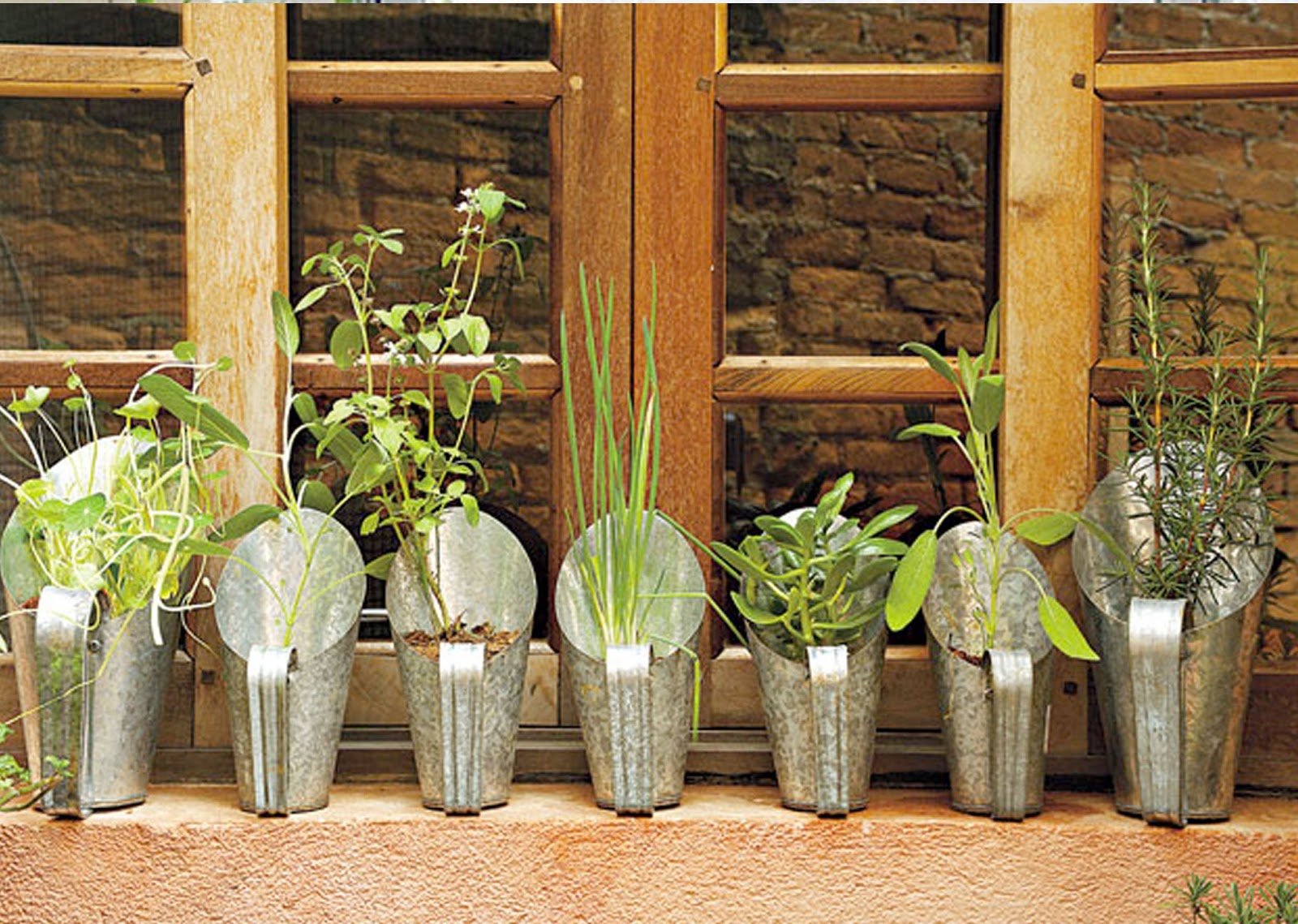 Mini Hortas: Imagens de mini hortas criativas