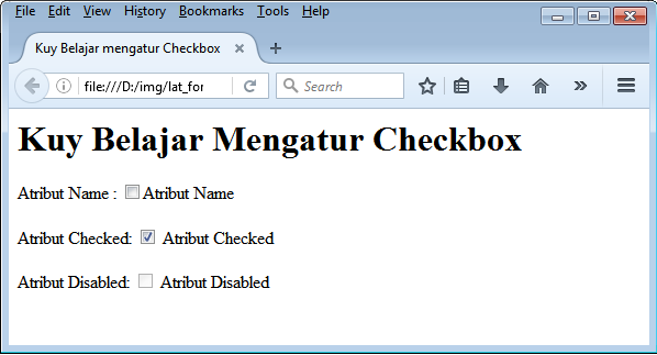 Fungsi Tag CheckBox Beserta Cara Penggunaannya