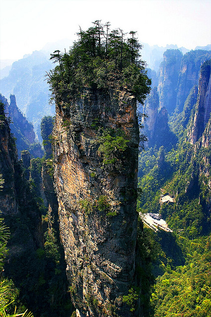Alam Mengembang Jadi Guru: Gunung Avatar Zhangjiajie
