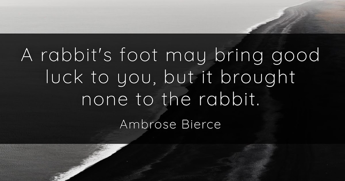 15 Rabbit Quotes - QUOTEISH
