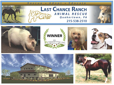 PennyWise Living: Thrift Benefit for Shelter Animals: Last Chance Ranch